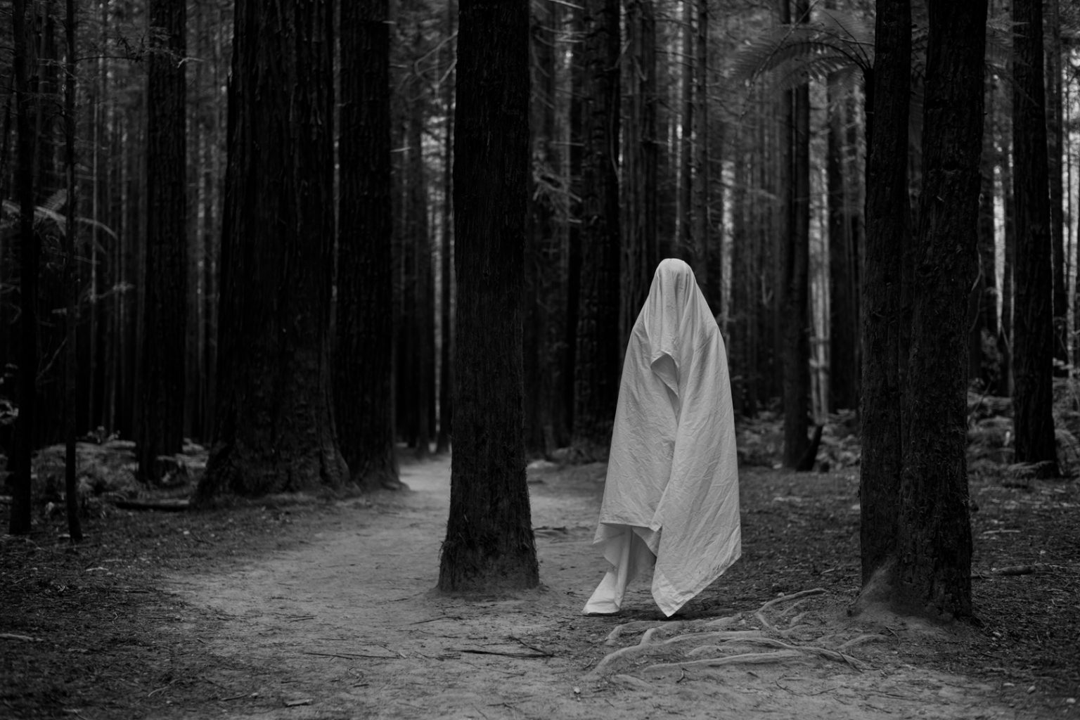 Anne in NZ (NSFW) – Peter Coulson Photographer :: Official